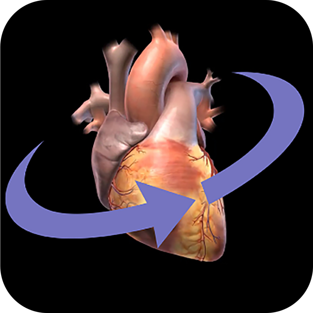 Medmovie 3D Heart – Medmovie.com