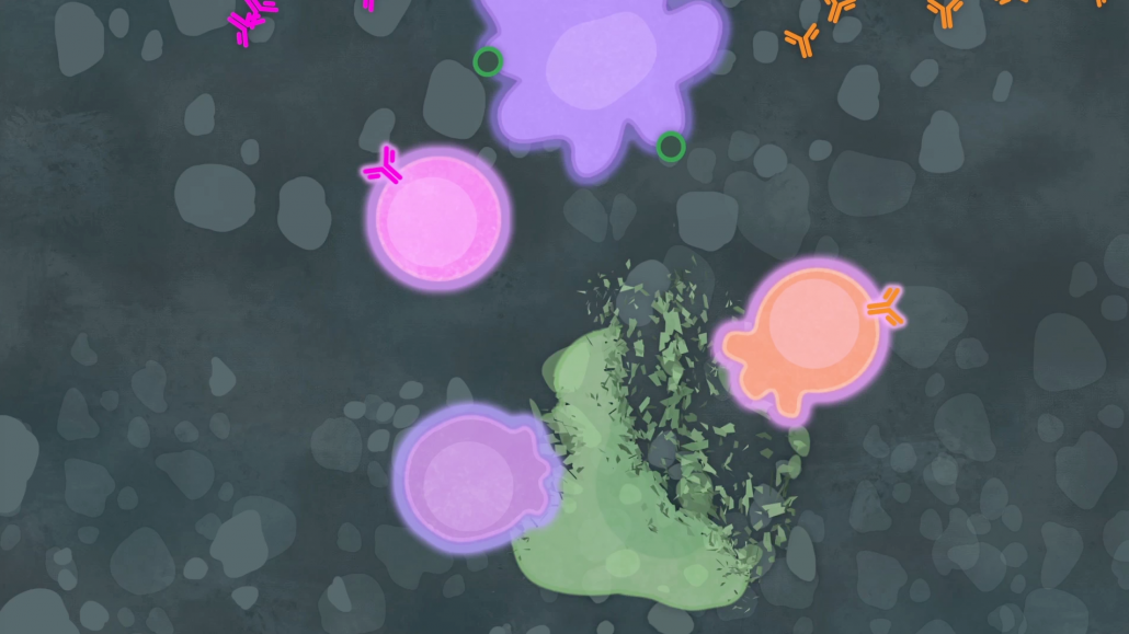 Pharma Portfolio – Medmovie.com – Animations, AR, VR, & Interactive ...