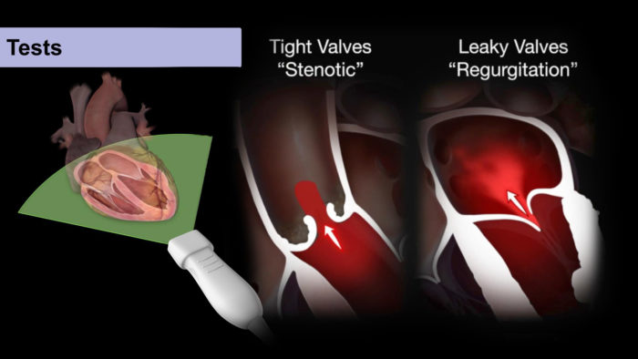 Hx VR – Medmovie.com